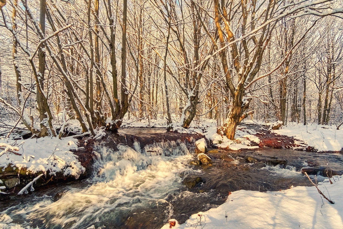 The Matin Lutens Collection: Spring Fragrances by Serge Lutens ...