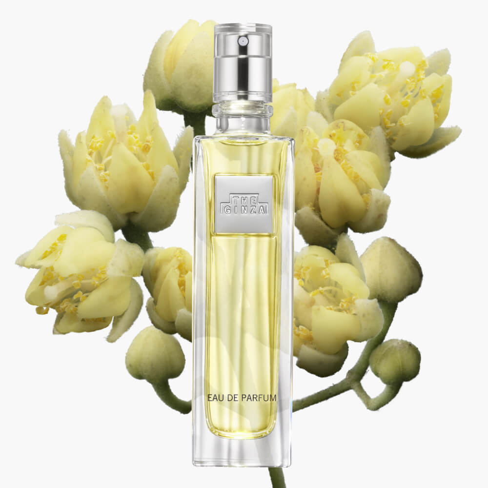 The Ginza Parfum and Eau de Parfum ~ New Fragrances