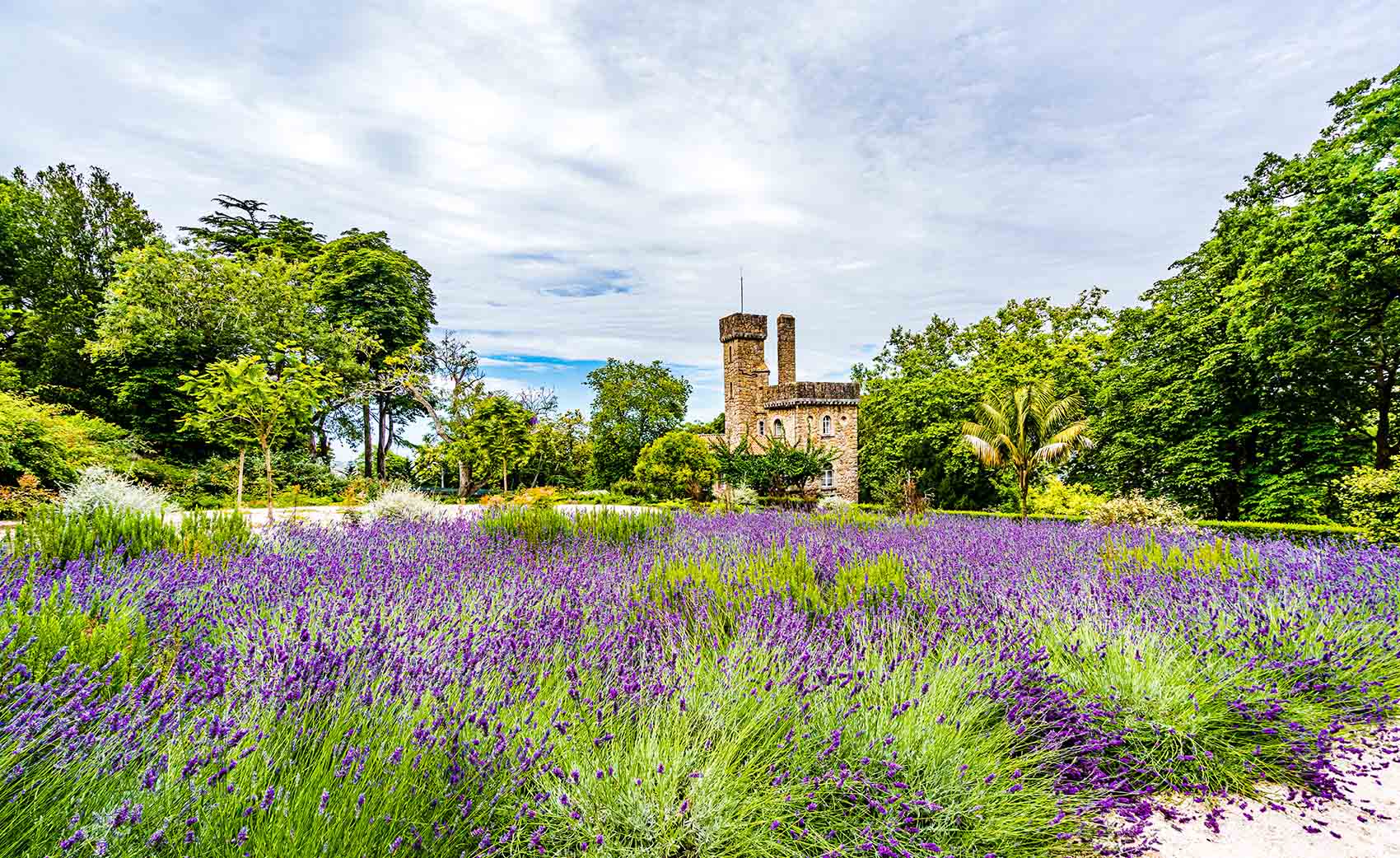 The Allure of Bois du Portugal ~ Fragrance Reviews