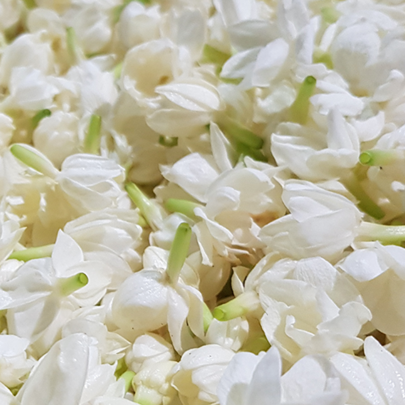 MANE and the “Rebirth” of Enfleurage ~ Fragrance News