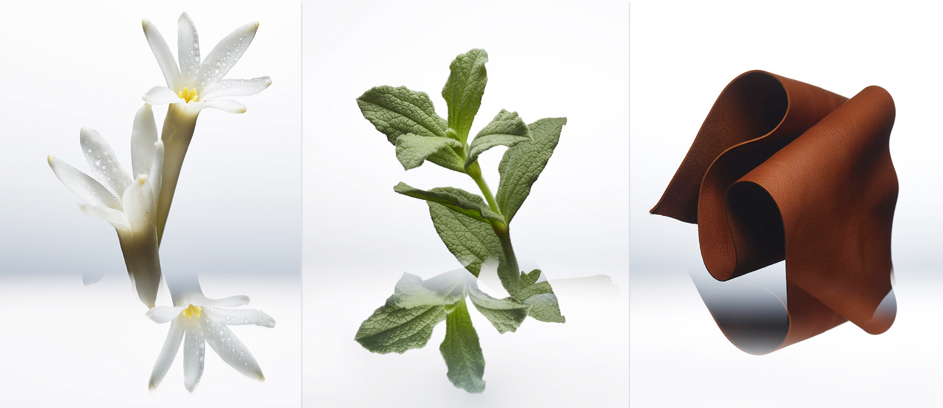 1 Million Parfum – Inspired Or Messy? ~ Fragrance Reviews