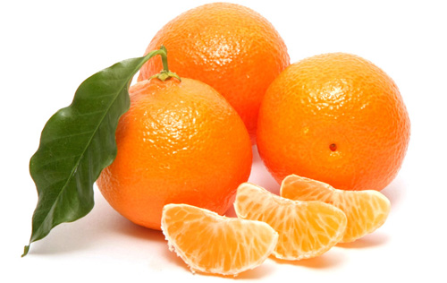 Presenting Summer 2012's Hippest Fragrance Note ~ Art Books Events