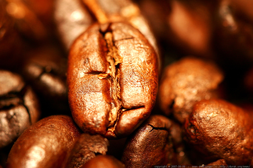Coffee ~ Raw Materials