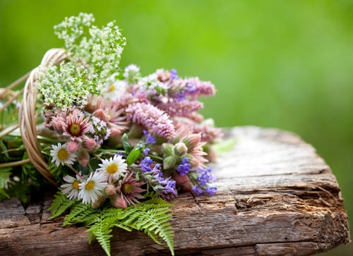 A Short Guide to Extraction Techniques and Aromatic Materials Rendered ...