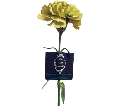 Oscar WIlde Returns! Friendly Fur The Green Carnation ~ Fragrance Reviews