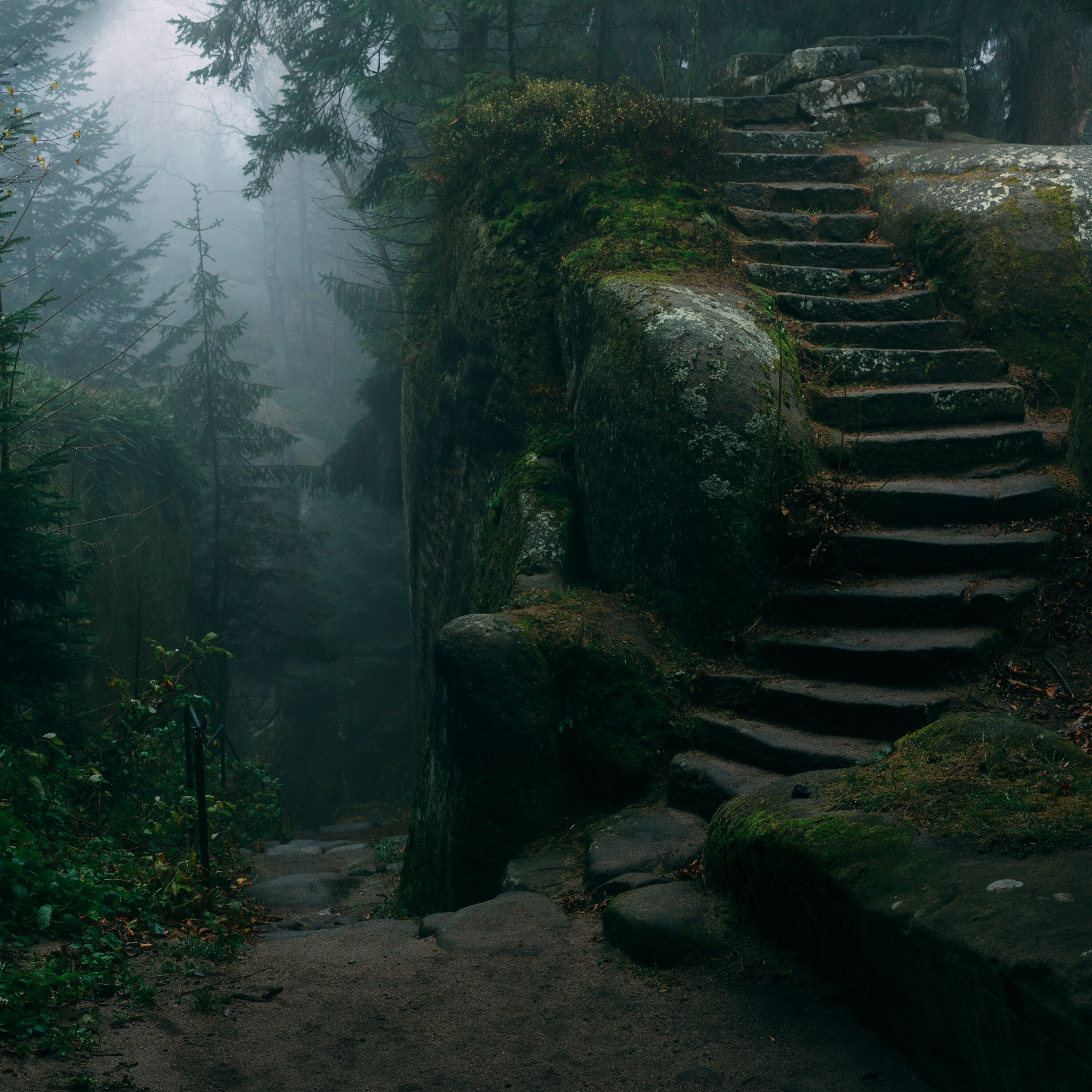 Memoir Man di Amouage: La Stella Chiamata Assenzio ~ Recensioni Editoriali