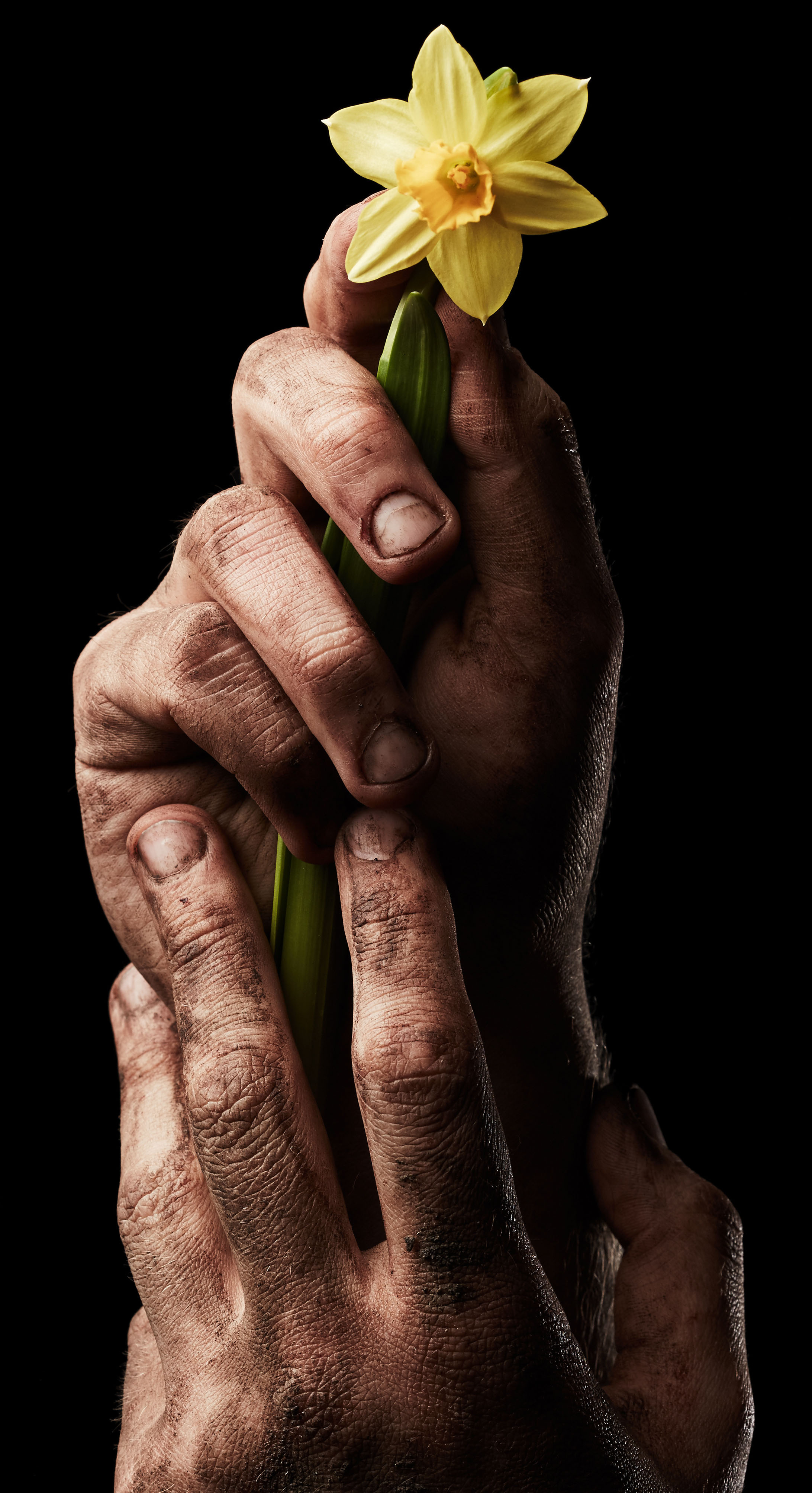 Pitti Fragranze'15: Masque Milano - Romanza Victorian Narcissus ...