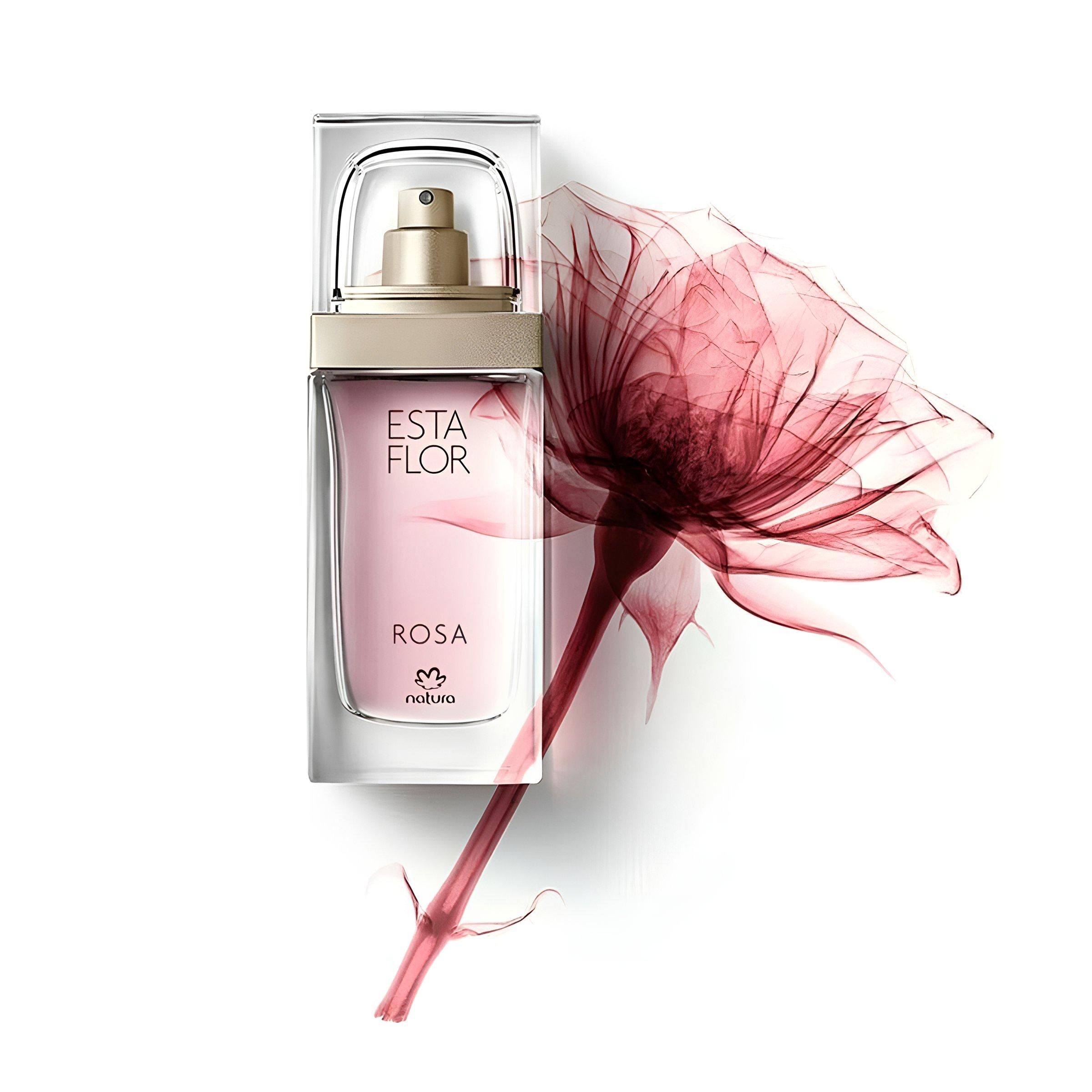 Perfumes da Minha Vida | Ricardo Lucas ~ Coluna