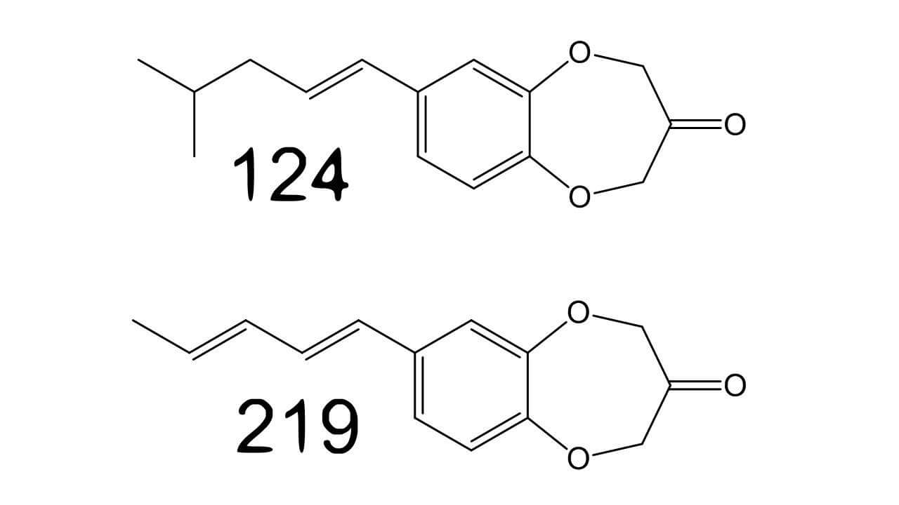 Calone: L'Aria degli Anni Novanta ~ Materie Prime