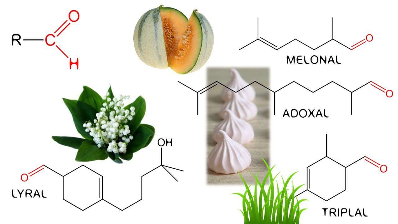 Los Aldehídos en la Mitología Perfumística ~ Materias primas