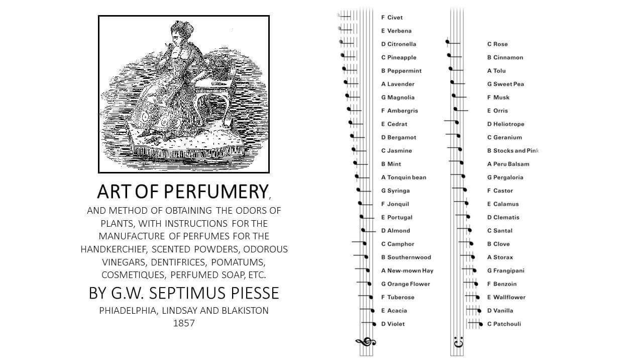 Fragrant Notes and Redolent Sounds ~ Columns