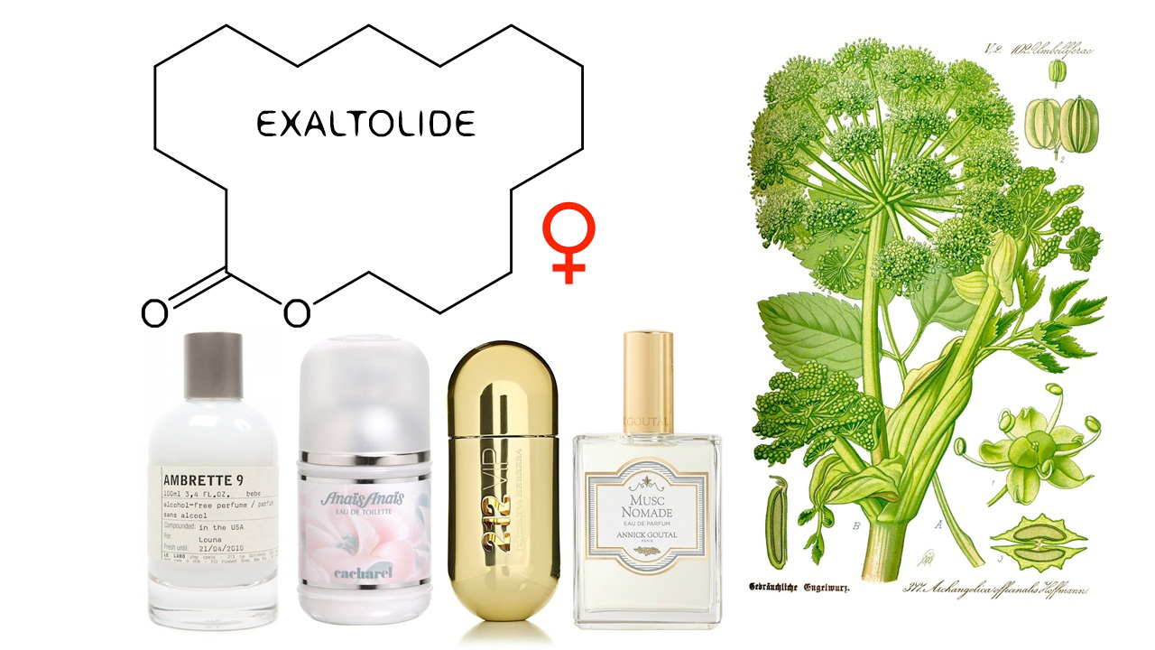 Dolce & Gabbana Light Blue: Paura e Repulsione ~ Materie Prime