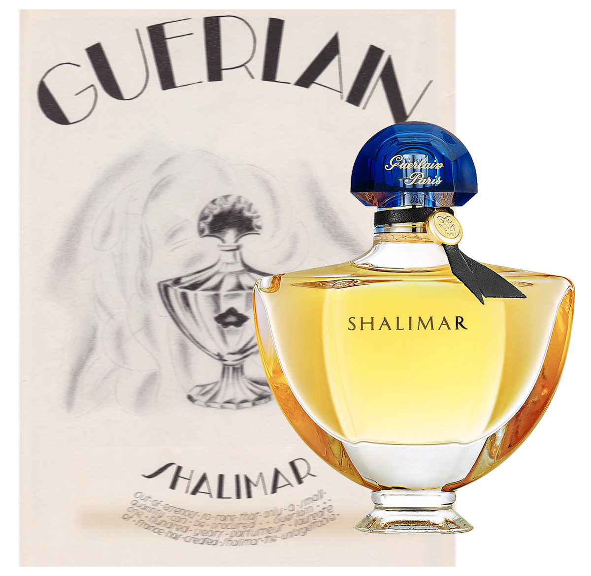 The Look, the Name and the Scent: From the Forums Makes a Connection ...