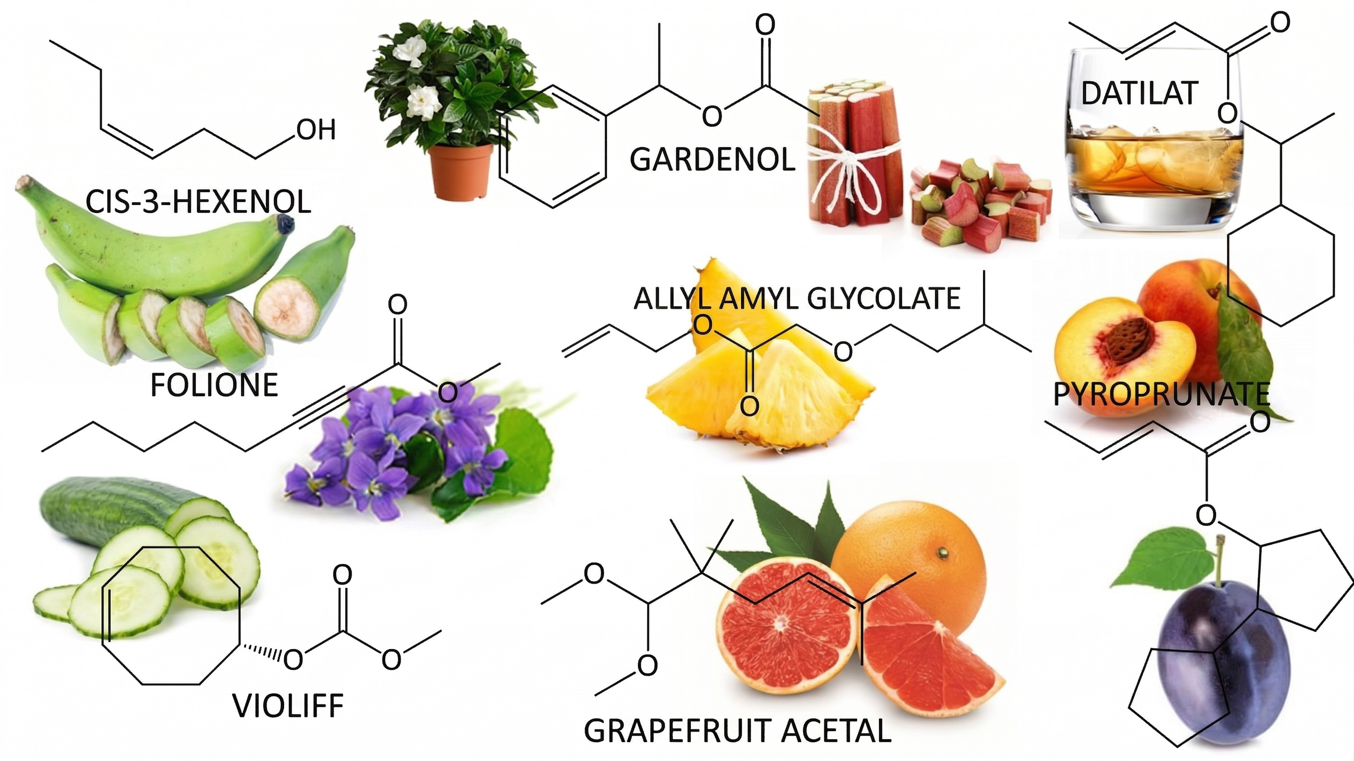 A Fig for You: The Scent of Fig in Perfumery ~ Fragrance Chemistry