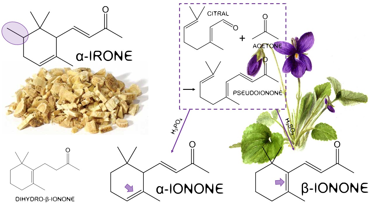 Colore e Odore, Parte II: Violetta ~ Materie Prime