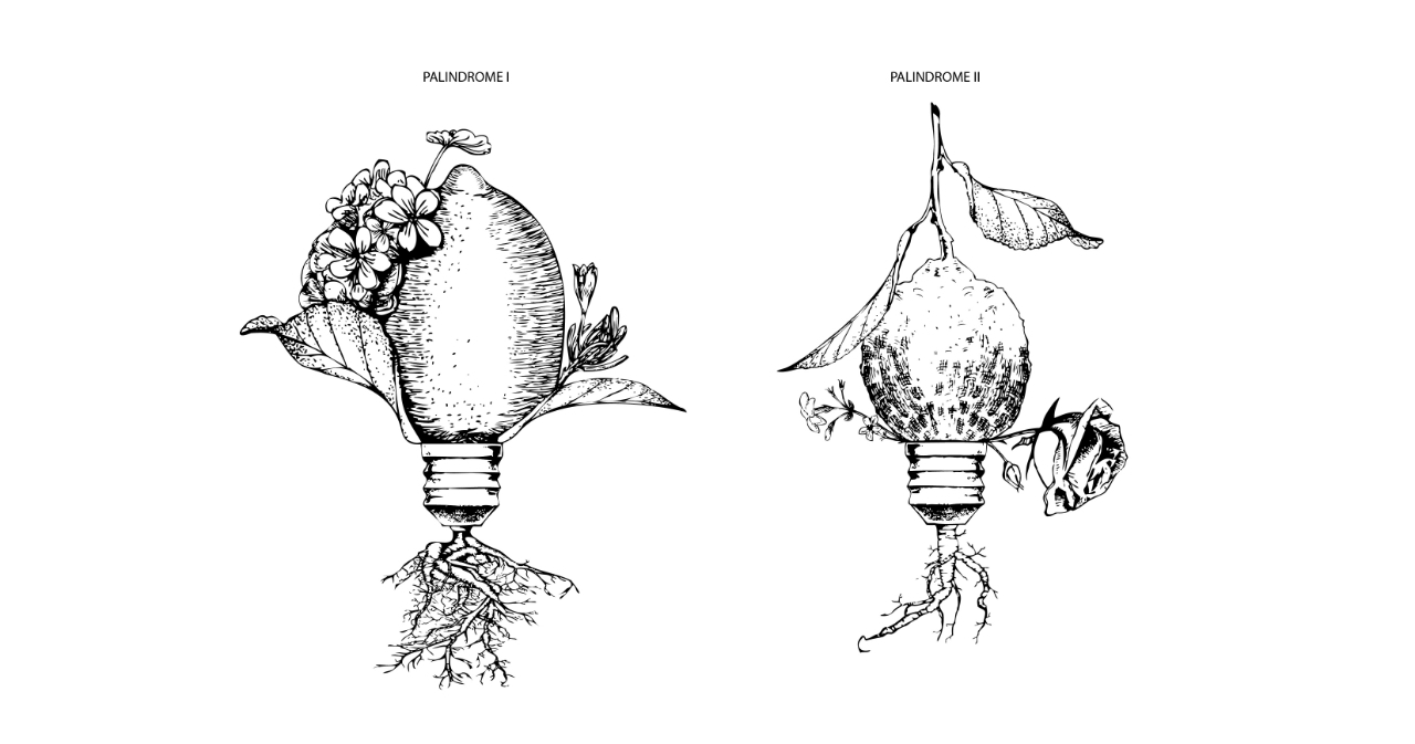 The Palindrome Collection by Santi Burgas ~ Interviews