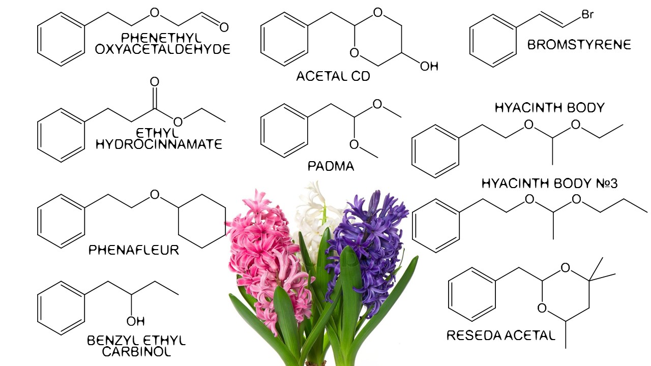Color and Smell, Part IV: Hyacinth ~ Raw Materials