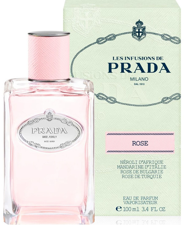 Os Novos Perfumes de Rosa ~ Notícias