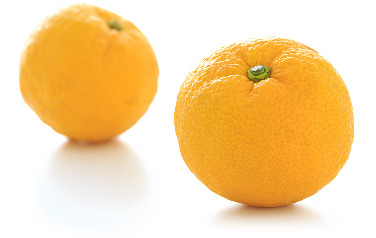 Note de Yuzu By Maison Kitsune X Heeley: Steaming Bodies and Yuzu ...