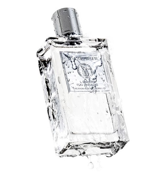 Overview Of Mizensir By Alberto Morillas ~ Fragrance Reviews