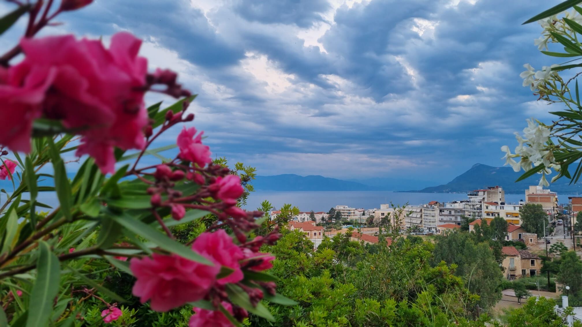 Τι πήρα μαζί μου για να πάω στην Ελλάδα ~ Αρθρα