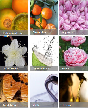 Sofia Vergara Tempting Paradise ~ Novosti