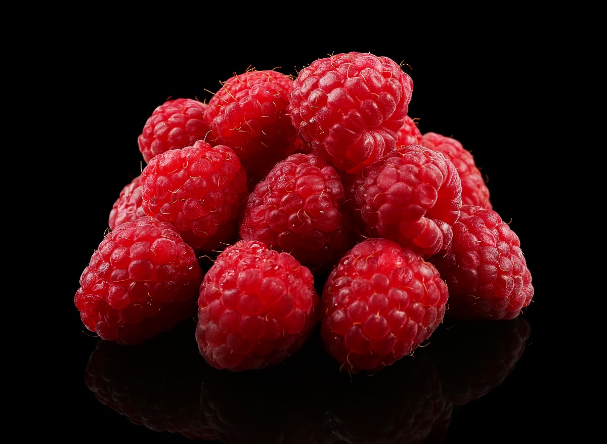 ESXENCE 2023: The Virtus Collection by Angela Ciampagna ~ Fragrance Reviews