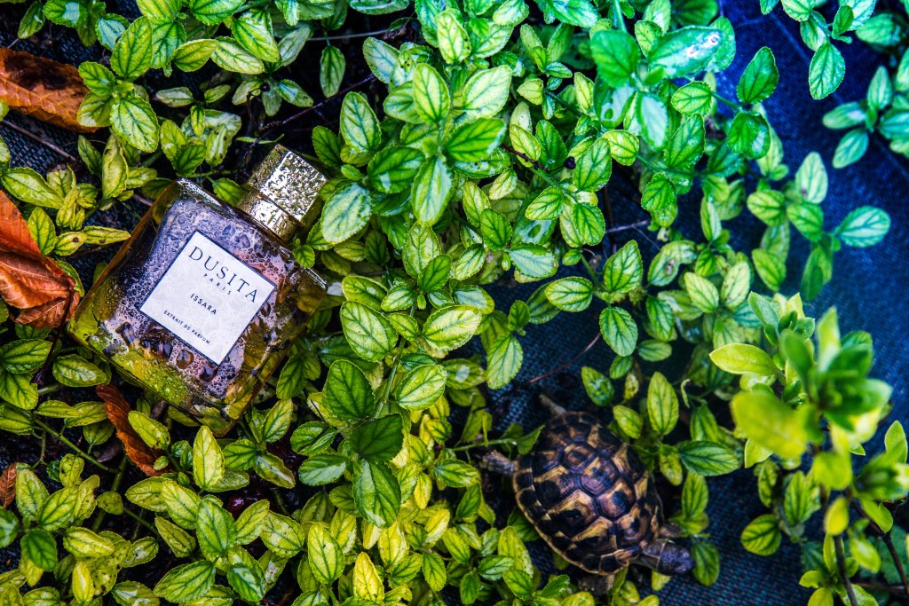 Interview with Pissara Umavijani: Through Hardships to the Stars ...