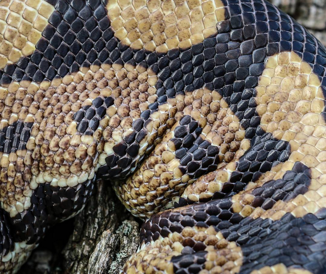 The Birth of a New Brand: An Interview with Marie C. of Fleur de Point ...