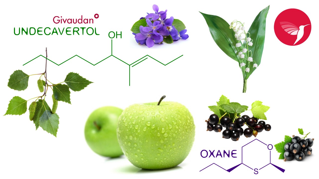 The Big Apple Etc.: The History of Undecavertol in Contemporary ...