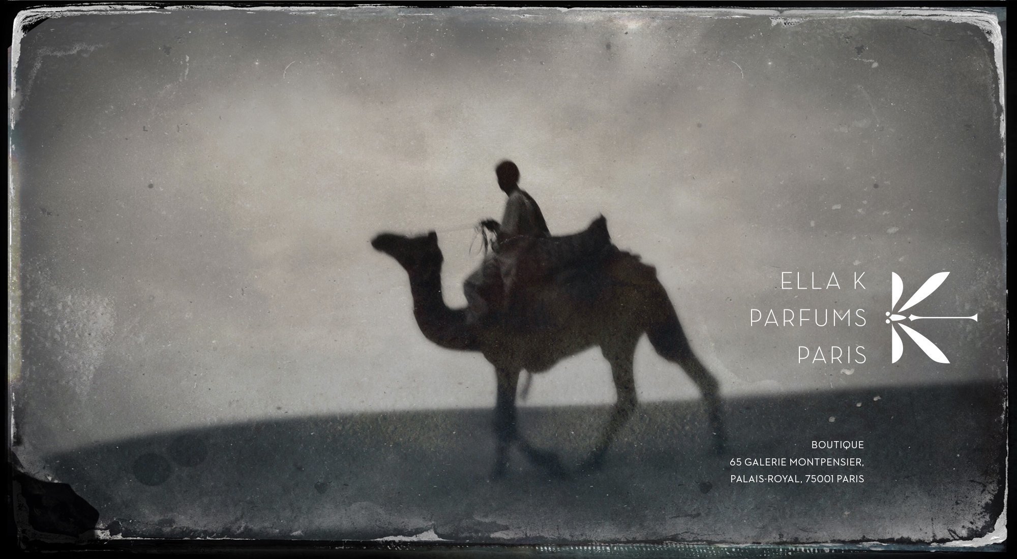 Perfumer Sonia Constant Launched Her Own Niche Brand: Ella K ~ New ...