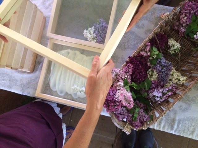 International Perfume Foundation to Offer Summer Enfleurage Workshops ...