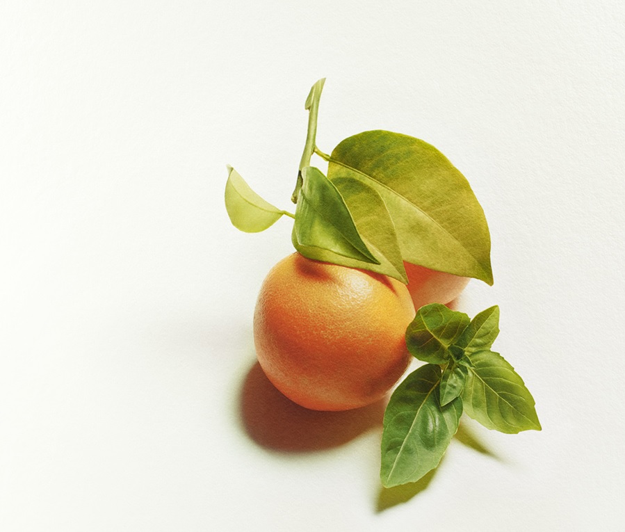 Chanel - Les Eaux De Chanel ~ New Fragrances