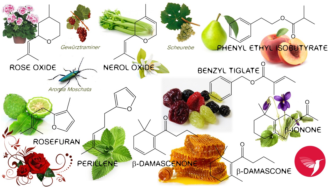 Her Majesty the Rose ~ Raw Materials