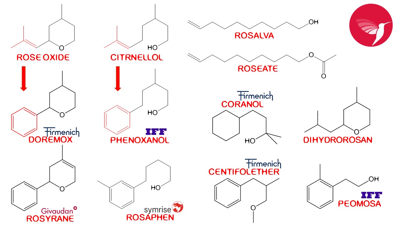 Her Majesty the Rose ~ Raw Materials