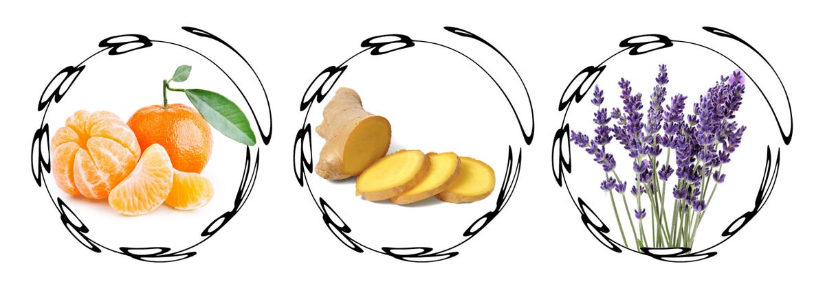 Mercedes-Benz Club Blue ~ New Fragrances