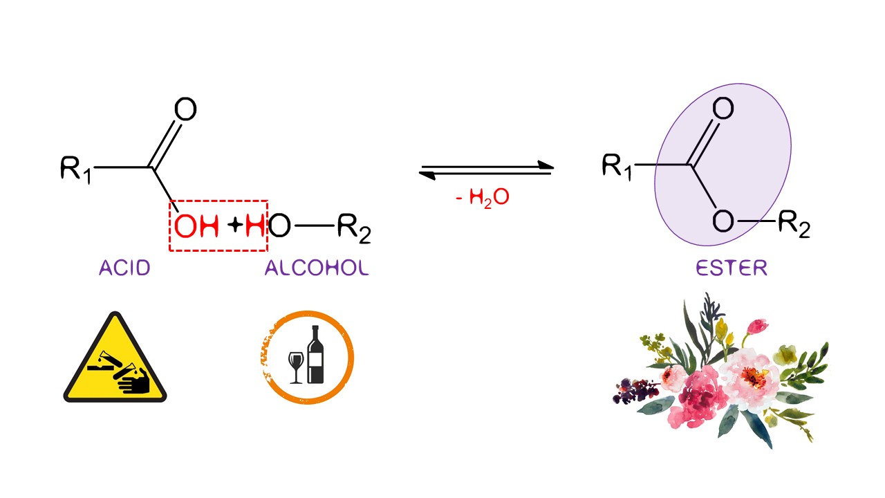 Peaches, Coconuts and Cream: Lactones in Fragrance ~ Raw Materials