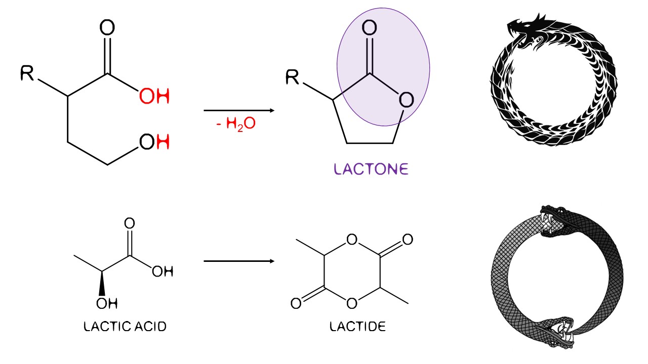 Peaches, Coconuts and Cream: Lactones in Fragrance ~ Raw Materials