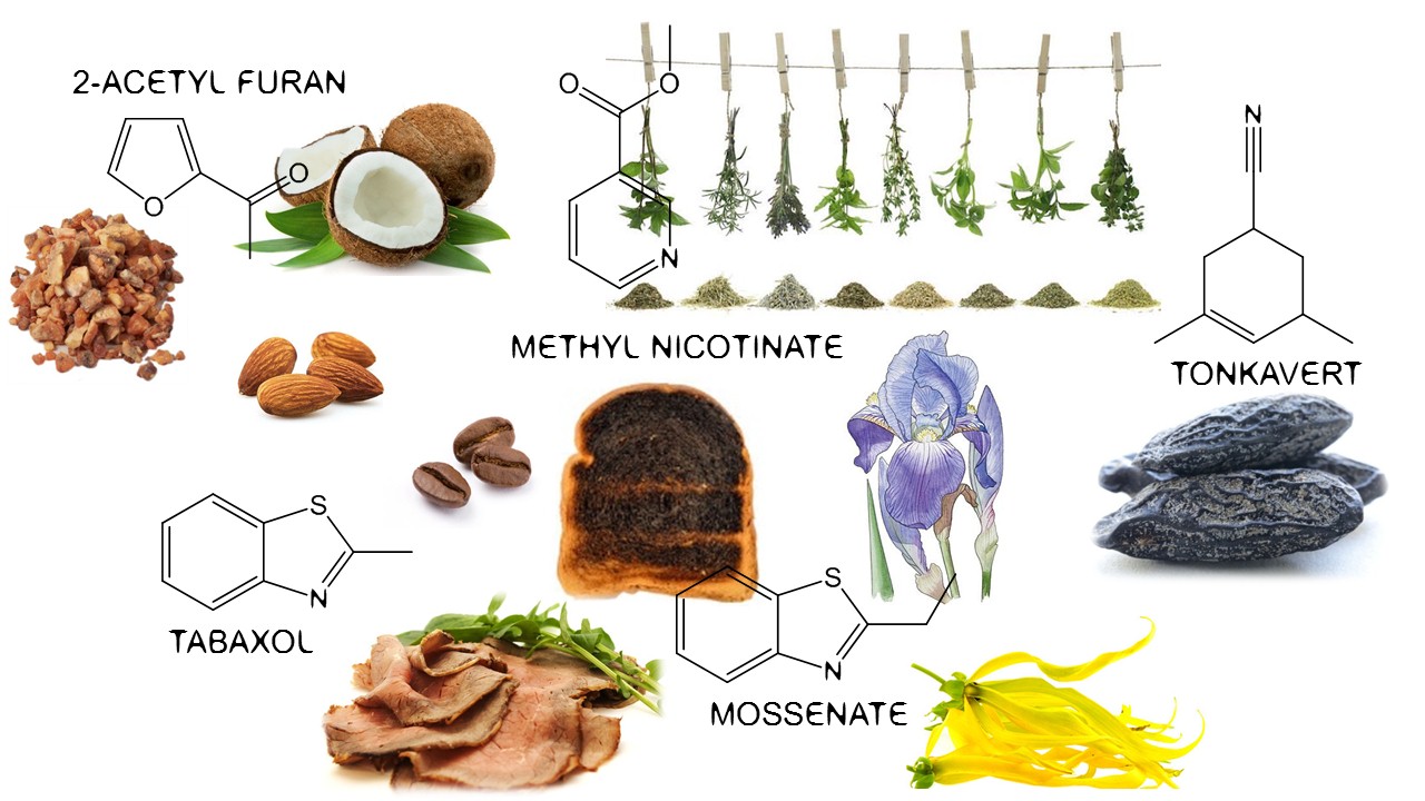Tobacco in Perfumery: History & Chemistry ~ Raw Materials