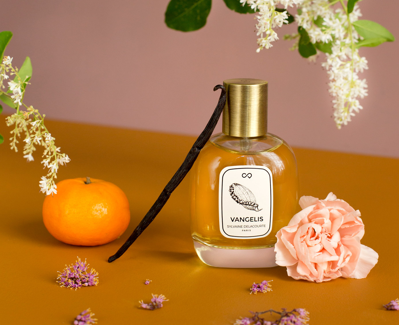 Vanilla Collection by Sylvaine Delacourte: Vanilla and Miracles ...