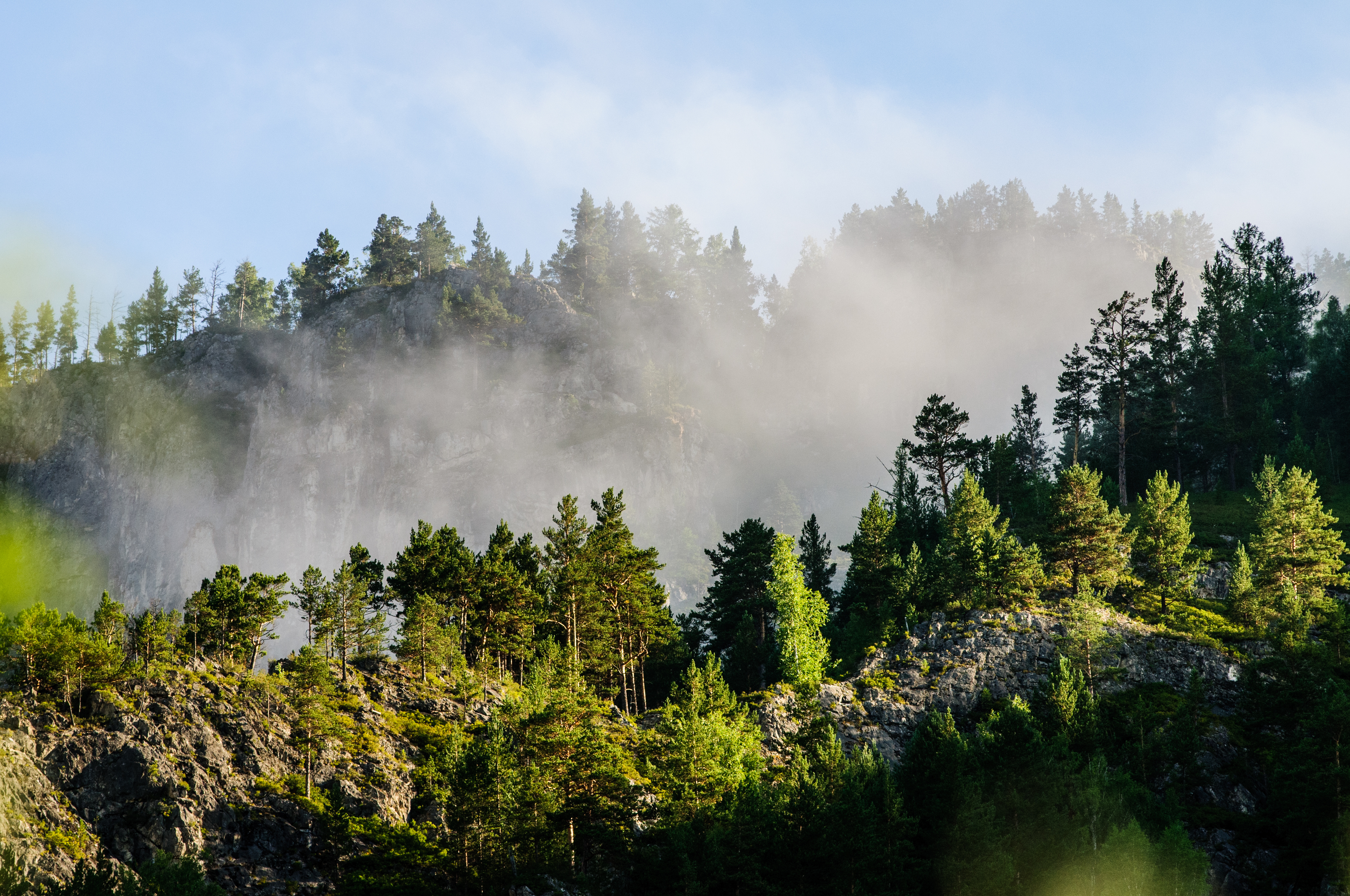L'Essence de Taiga by Siberian Wellness: A French View of the Taiga ...