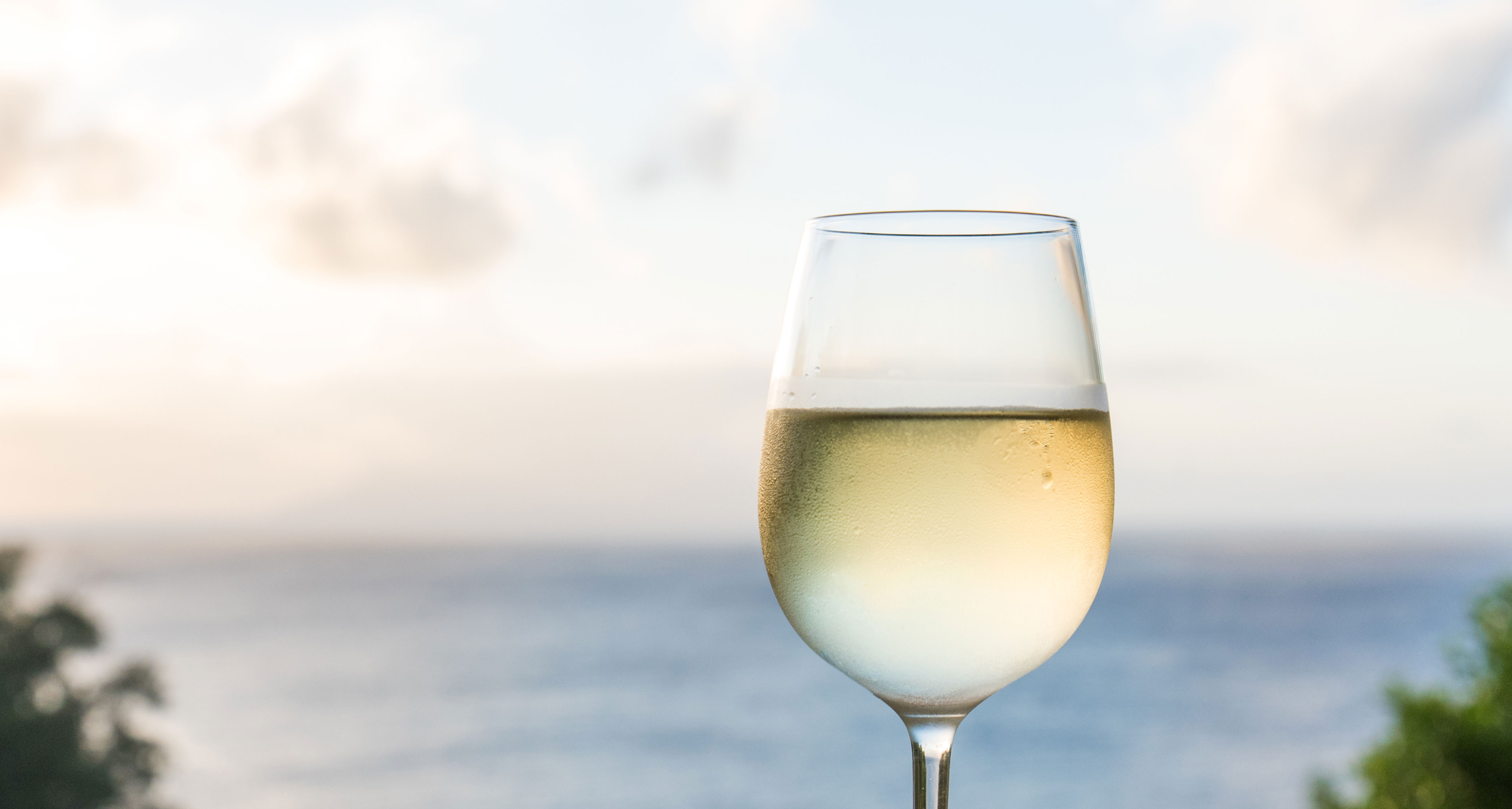 Alcohol in Fragrance: A Glass of Wine ~ Columns