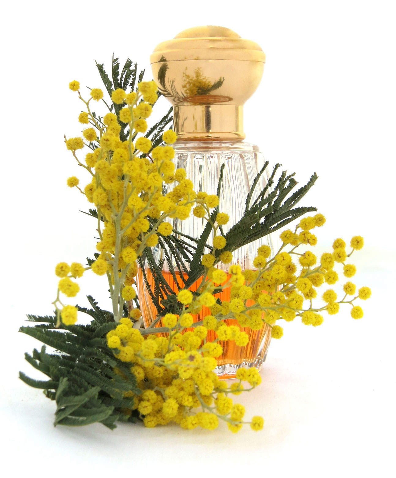 Perfumery: Women Creators ~ Columns