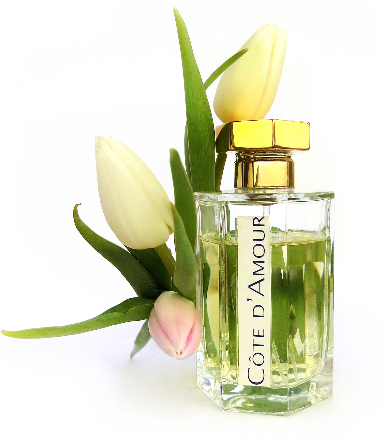 Perfumery: Women Creators ~ Columns