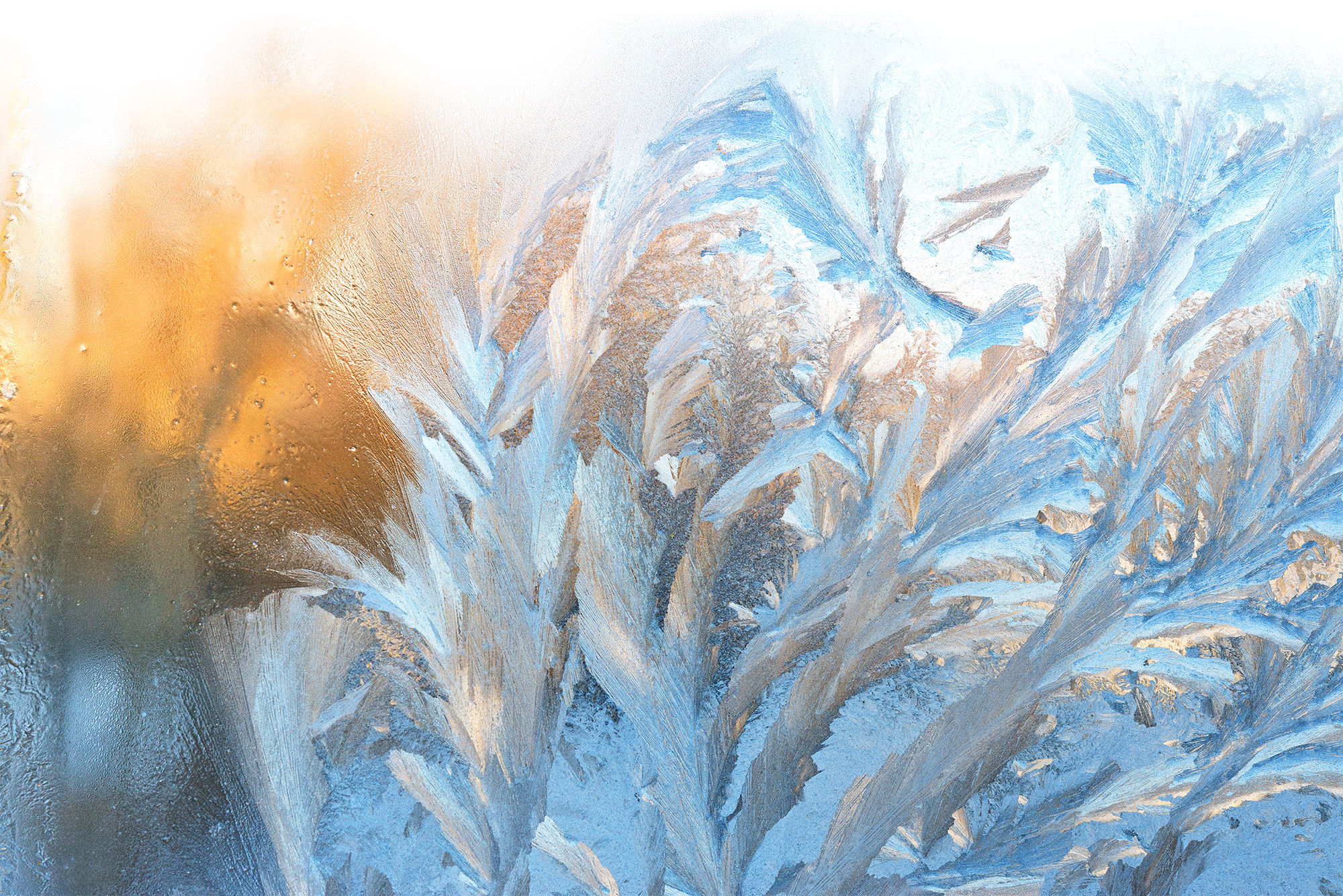 Parure Guerlain: The Icy Chypre ~ Fragrance Reviews