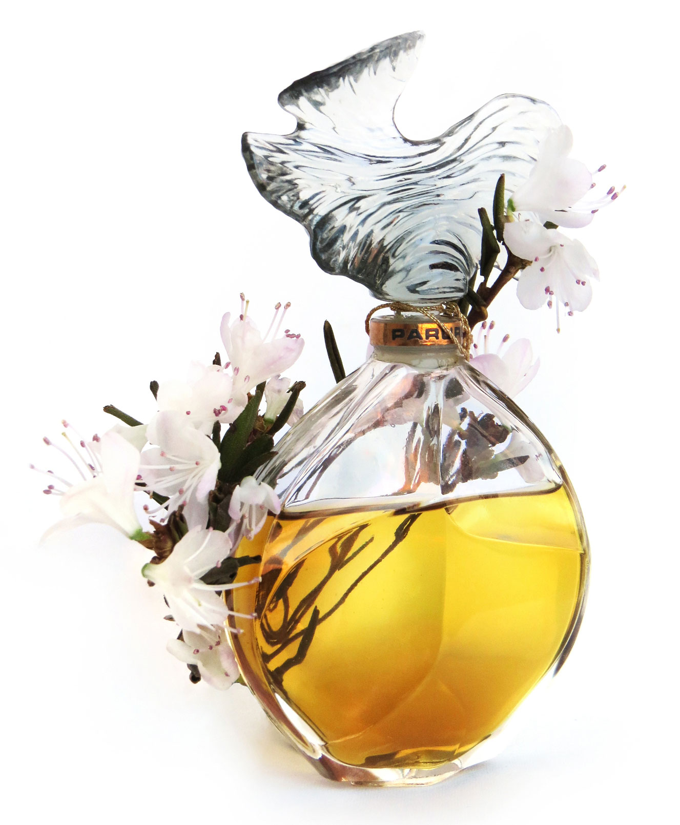 Parure Guerlain: The Icy Chypre ~ Fragrance Reviews