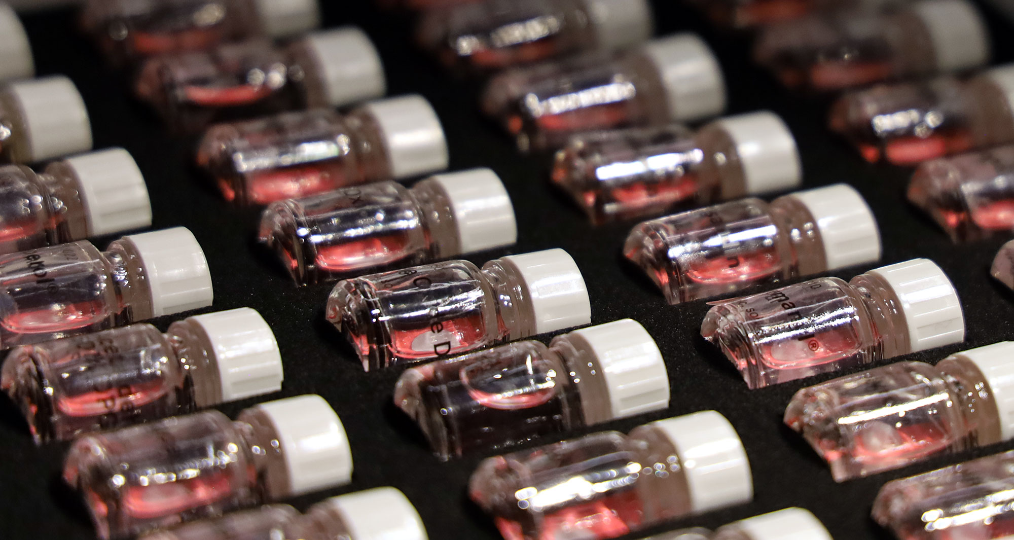 SIMPPAR 2019 – Perfumery behind the Scenes ~ Raw Materials