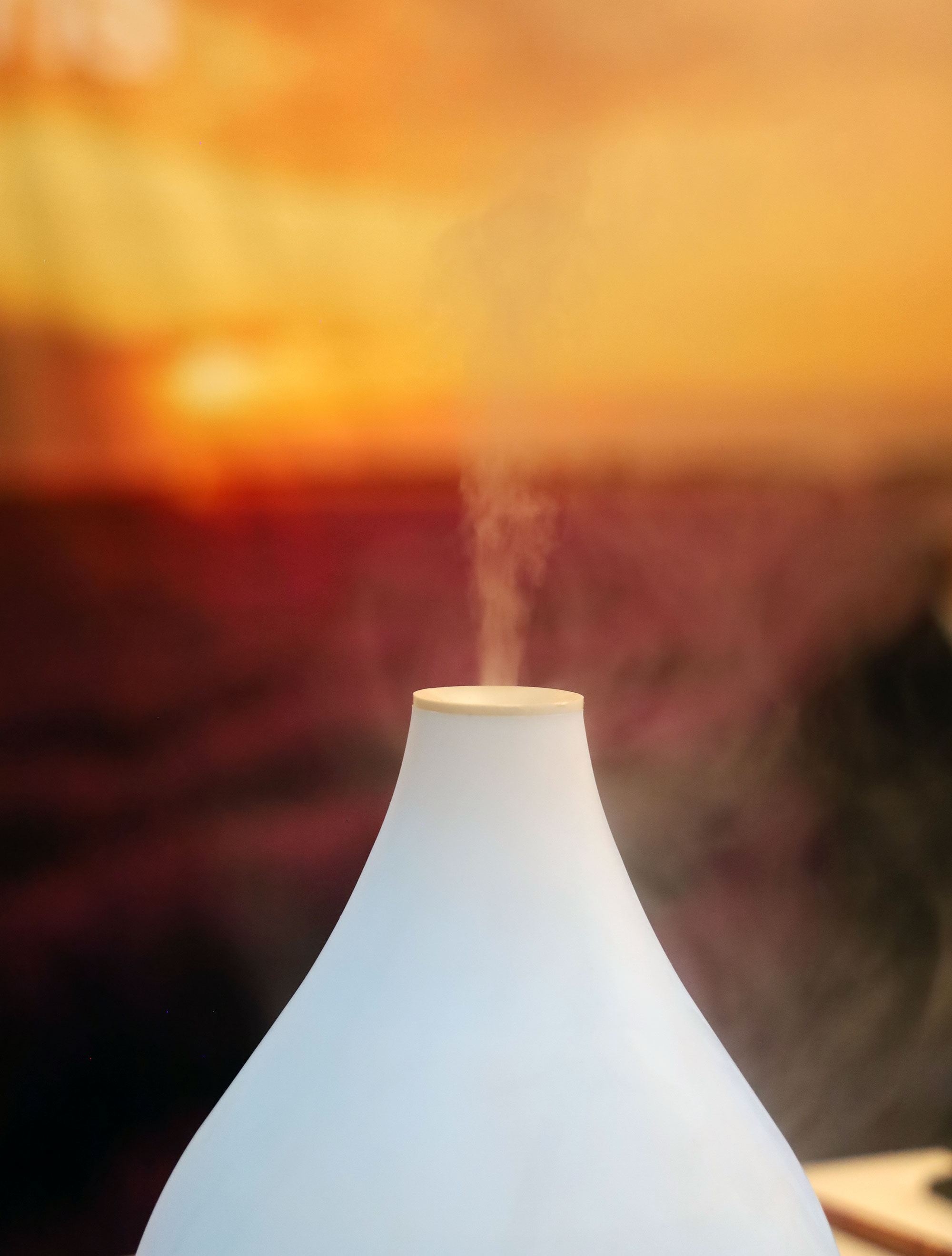 SIMPPAR 2019 – Perfumery behind the Scenes ~ Raw Materials