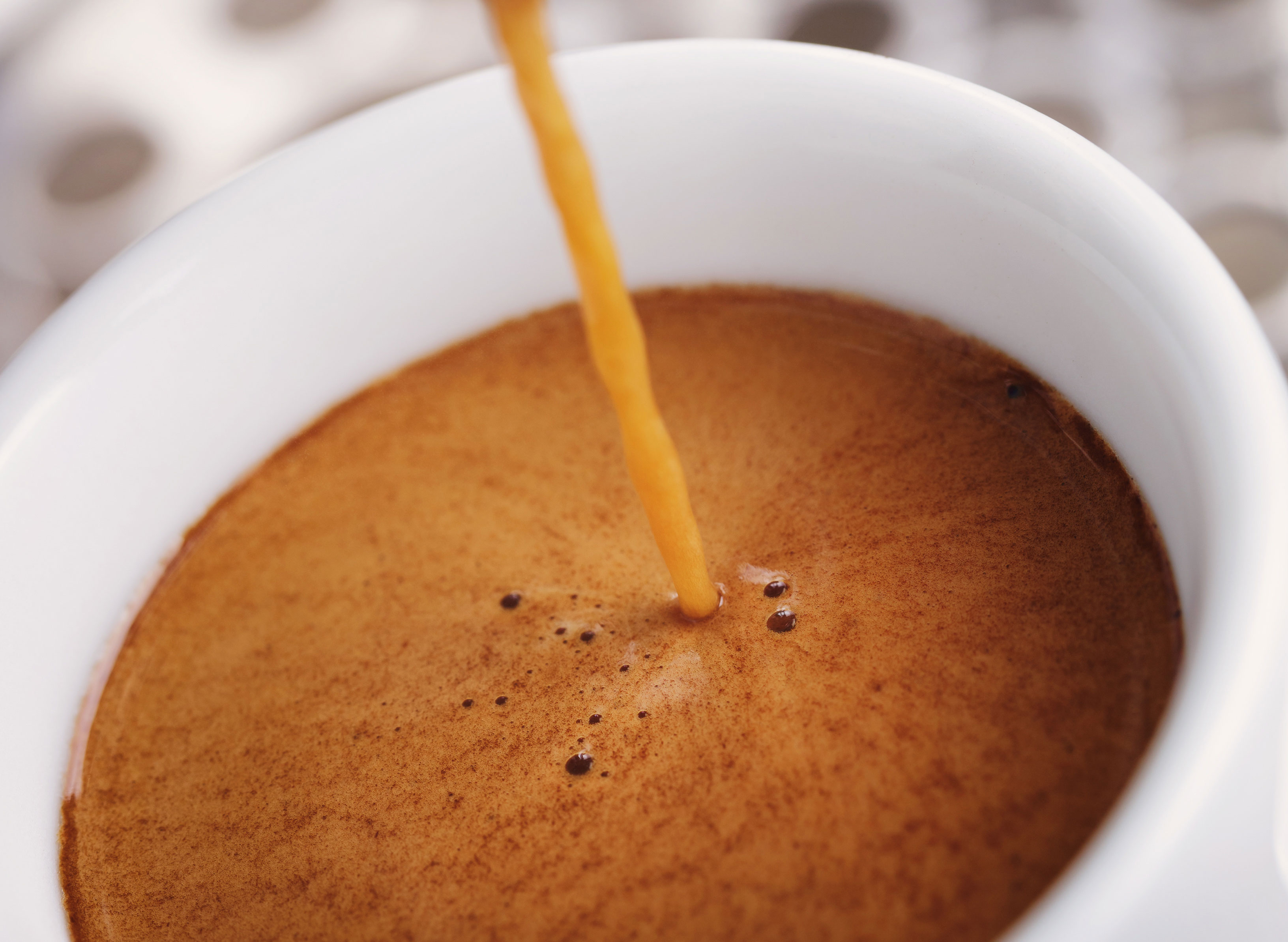 Coffee in Perfumery: Absolute Coffee ~ Fragrance Reviews