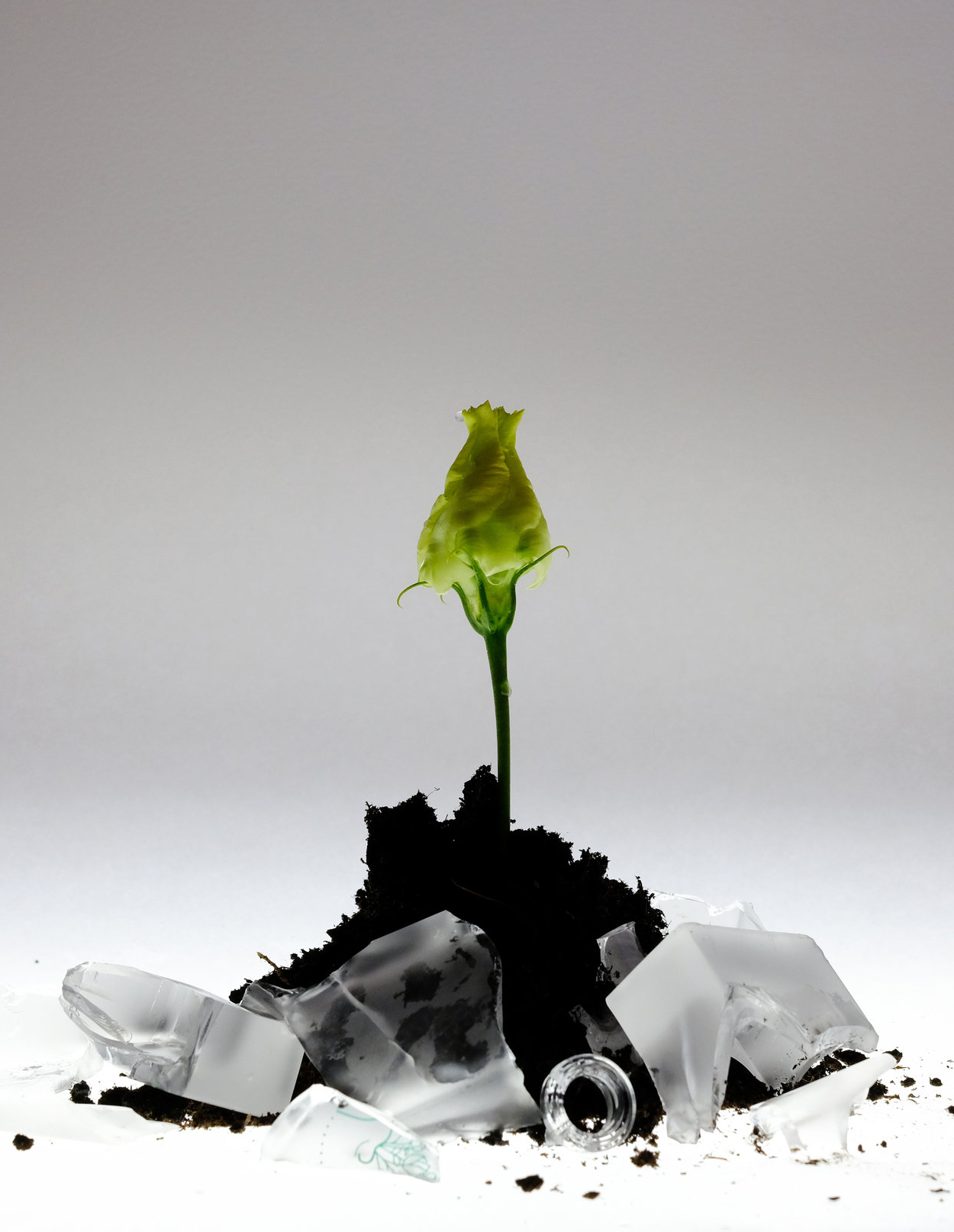 News from Scotland: Jorum Studio Pop-Up Perfumery ~ Fragrance News